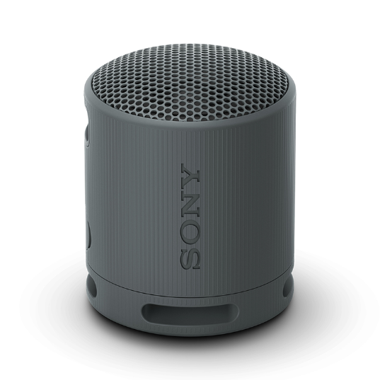 SONY China Service-SRS-XB100