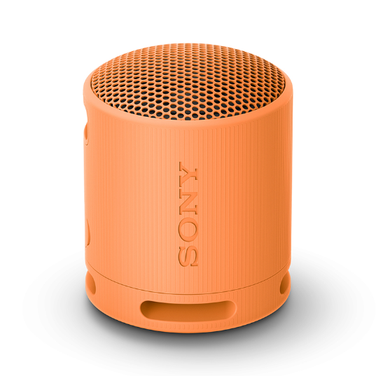 SONY China Service-SRS-XB100